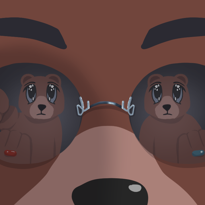 Steady Teddys Gallery