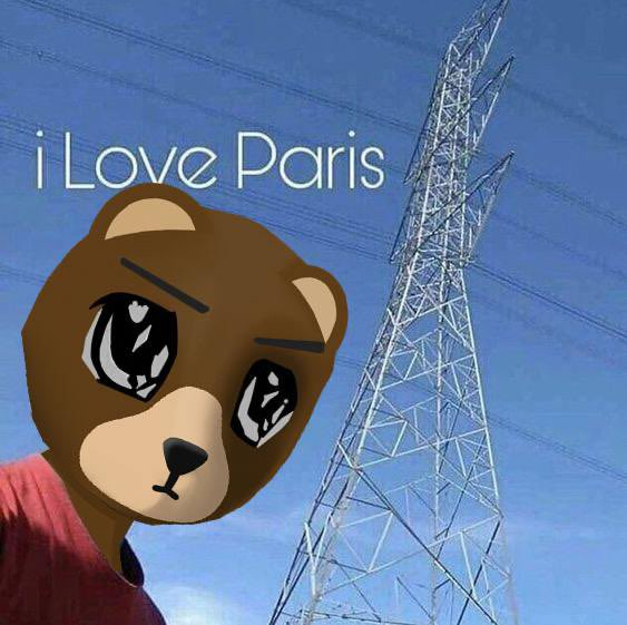 Steady Teddys Gallery